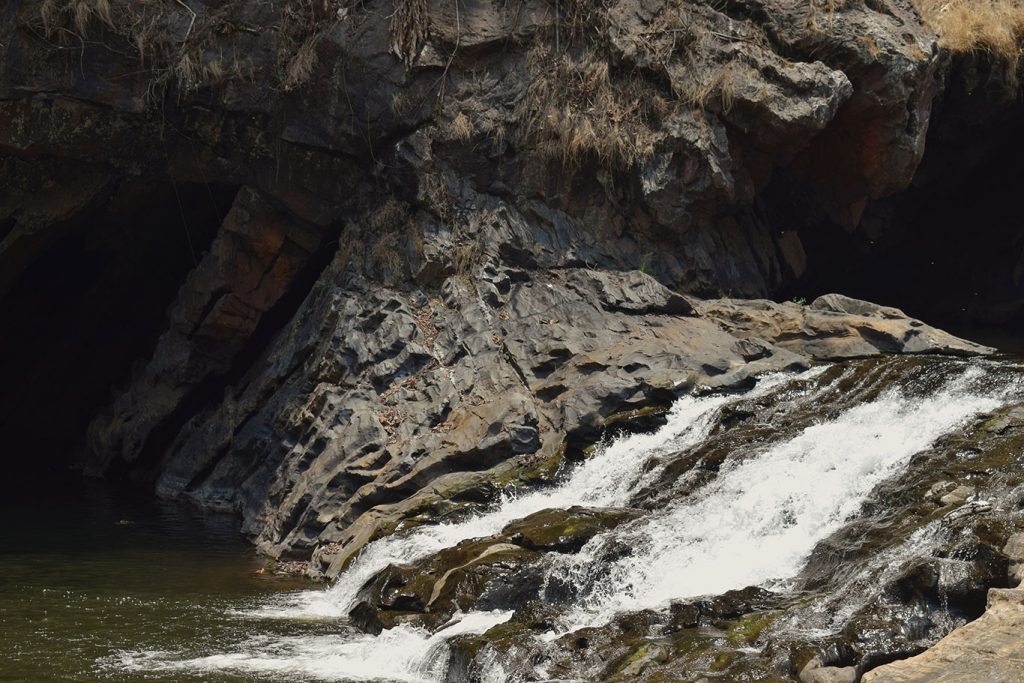 Things to do at Dandeli Wildlife Sanctuary, Karnataka: The Charm of ...