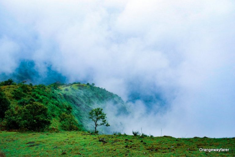 Camping where the Clouds come to Sleep: At Vagamon during the Iconic ...