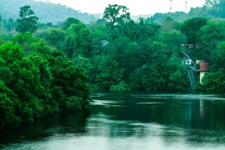 Things to do at Dandeli Wildlife Sanctuary, Karnataka: The Charm of ...