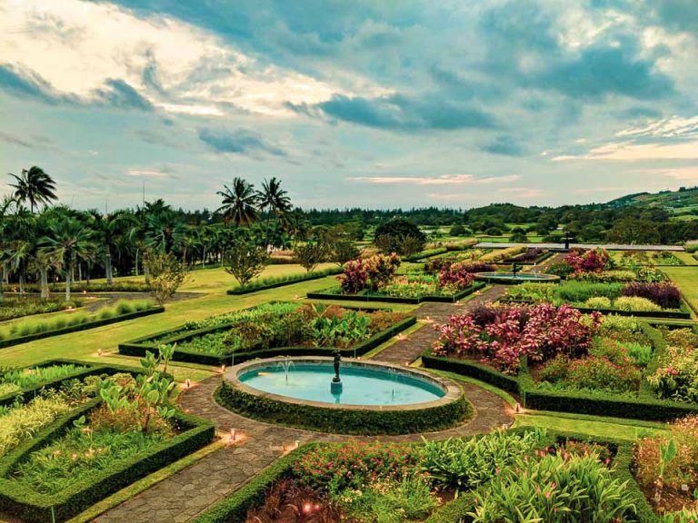 Land Beyond Palm Fringed White Coast: Travel Guide to Mauritius ...