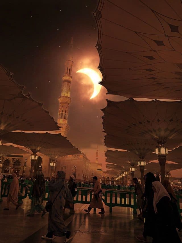 7 essential Travel Tips before you Visit Saudi Arabia – Orange Wayfarer